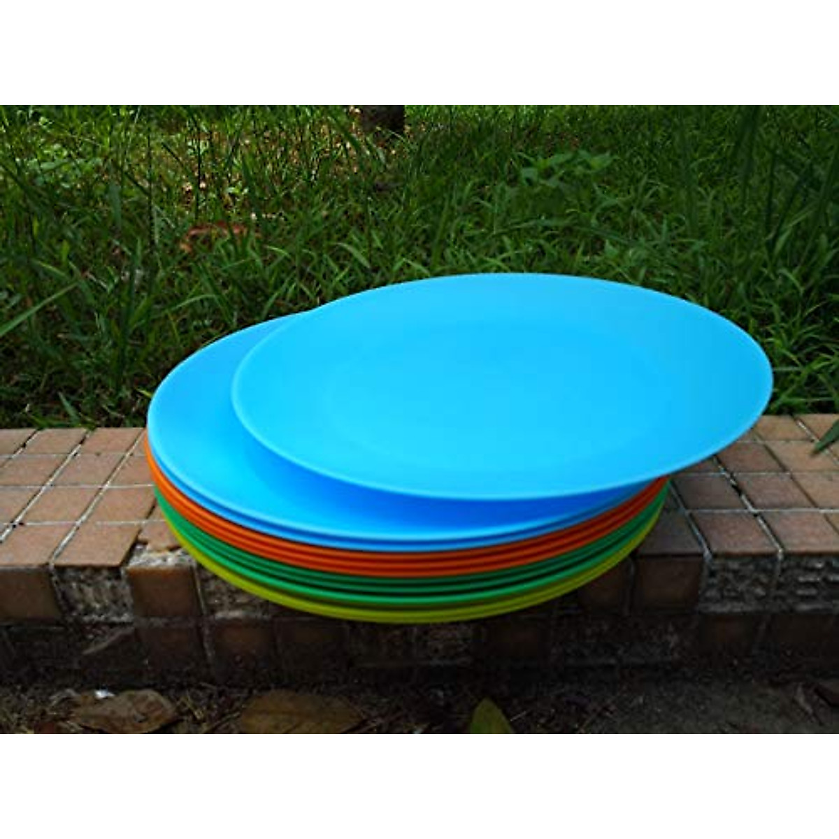 AOYITE Plastic Dinner Plates Reusable BPA Free Dishwasher Safe Microwaveable for Any Occasion, BBQ, Travel, and Events (Multicolor set of 12)