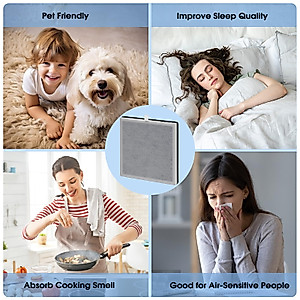 3-in-1 HEPA 13 Replacement Filter, Compatible with Pure Enrichment PureZone (PEAIRPLG) Air Purifier-2 Pack