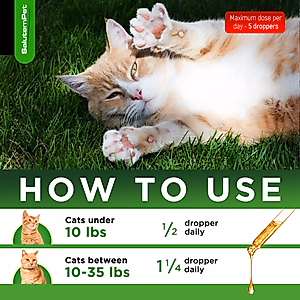 Natural Antibiotics for Cats | Cat Antibiotics | Supports Cat Allergy Relief | Cat Itch Relief | Cat Allergy Support | Cat Multivitamin | Pet Antibiotics | Cat Antibiotics | 2 Oz