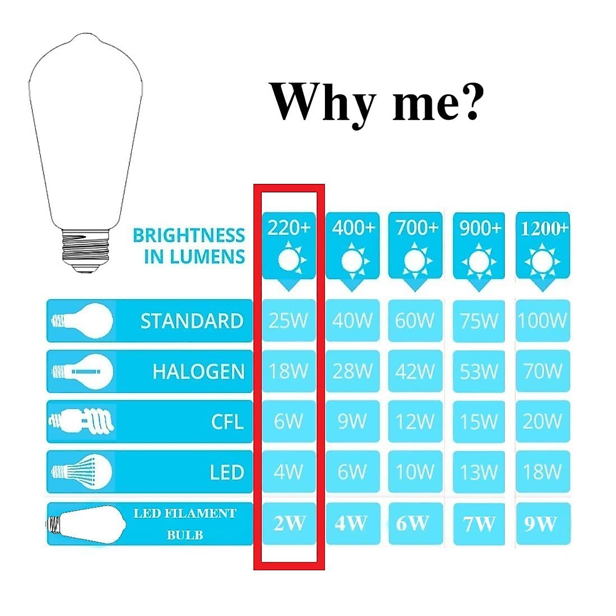 winsaLED 12 Pack 2w LED Edison Bulbs, 25 Watt Light Bulbs Equiv, 2700K Soft Warm with E26 Standard Base, LED ST19 Low Watt Light Bulbs, Not-dimmable, 120V