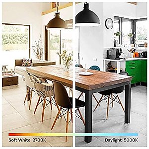 Amazon Basics 60W Equivalent, Daylight, Non-Dimmable, 10,000 Hour Lifetime, A19 LED Light Bulb | 24-Pack