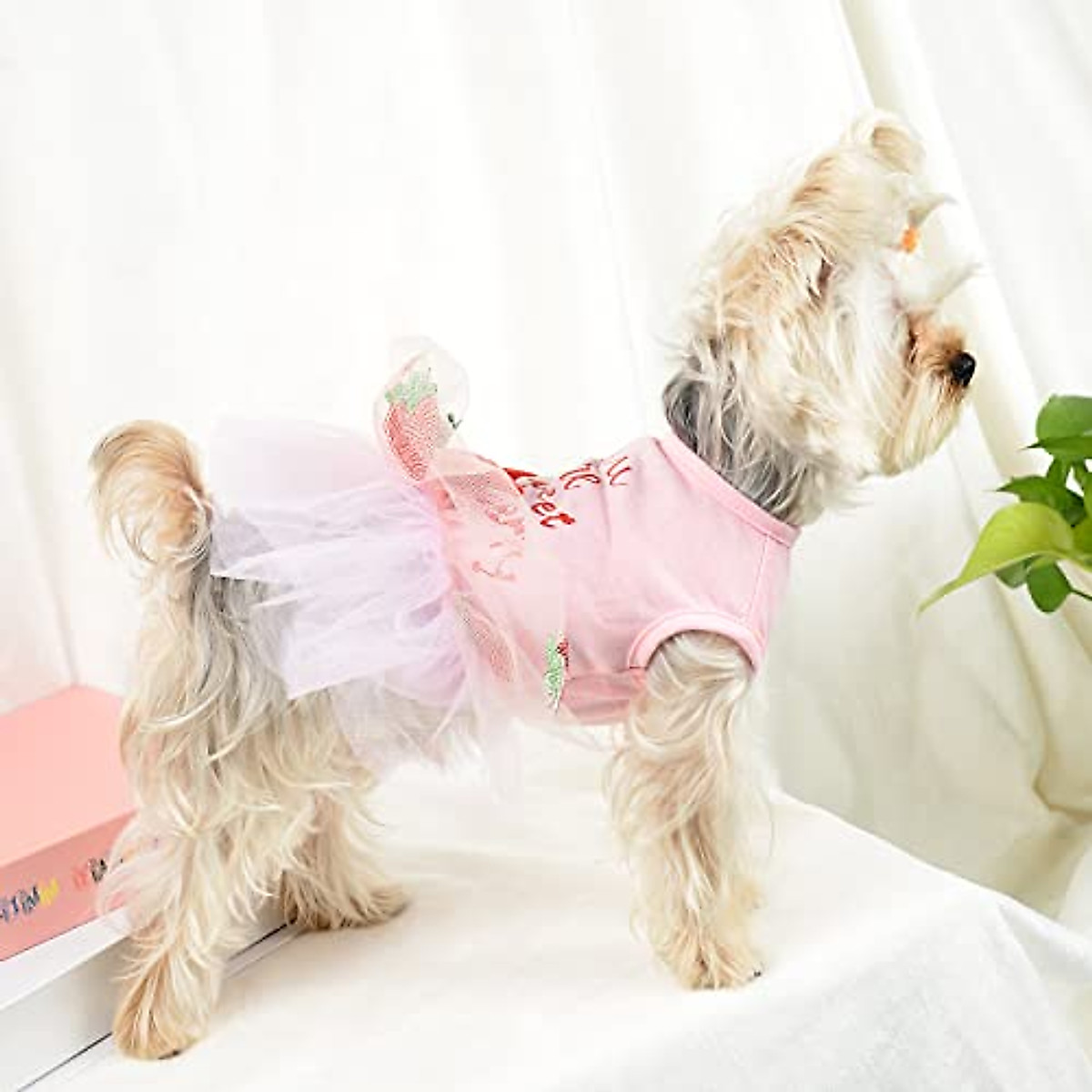 Dog Dress for Small Dogs Girl Summer Puppy Dresses Clothes Outfit for Chihuahua Yorkie Teacup Pink Dog Wedding Dress Holiday Cute Bowknot Pet Skitrt Apparel for Cats Clothing (XX-Large, Strawberry)