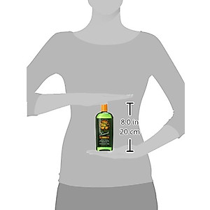 Fantasia Naturals Shampoo, 12 Ounce