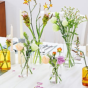 ZENS Bud Vases Set of 3, Modern Small Glass Vases for Flower Clear Bud Vases for Wedding Centerpiece, Blown Thicker Glass Small Vase for Flowers, Wedding Party Events Home Bathroom Decor