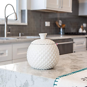 Fruit Fly Jar Trap for Kitchens - Decorative, Effective, Kid and Pet Friendly (White)