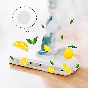 Maitys 24 Pieces Replacement Steam Mop Scent Disc 4 Different Fragrance Discs (Fresh Fragrances)