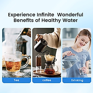 Waterspecialist NSF Certified Pitcher Water Filter, Replacement for Pur® Pitchers and Dispensers PPT700W, CR-1100C and PPF951K, Water Filter (Pack of 3)