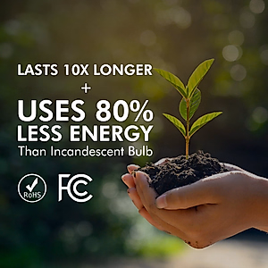 Xtricity Compact Fluorescent GU24 2 Prong Light Bulb Base, T2 Mini Spiral, 13W (60 Watt Equivalent), 2700k Soft White, 900 Lumens, CFL, 120V, UL Listed (2 Pack)