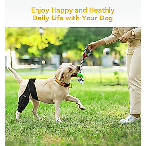 soundfuse Dog Knee Brace, Leg Brace for ACL with Cruciate Ligament Injury, Joint Pain and Muscle Sore, Adjustable Rear Support for Knee Cap Dislocation, Pet Knee Brace Recommended for Big Dog(Size: L)