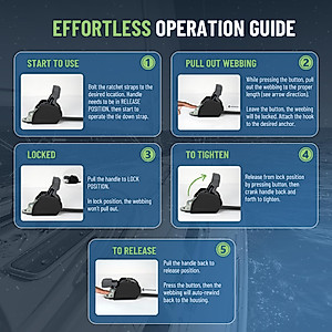 BoatBuckle G2 Stainless Steel Retractable Transom Tie-Down (2 x 43-Inch, Black)