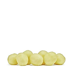 Breville Sous Chef 16 Cup Peel & Dice Food Processor, Brushed Aluminum, BFP820BAL