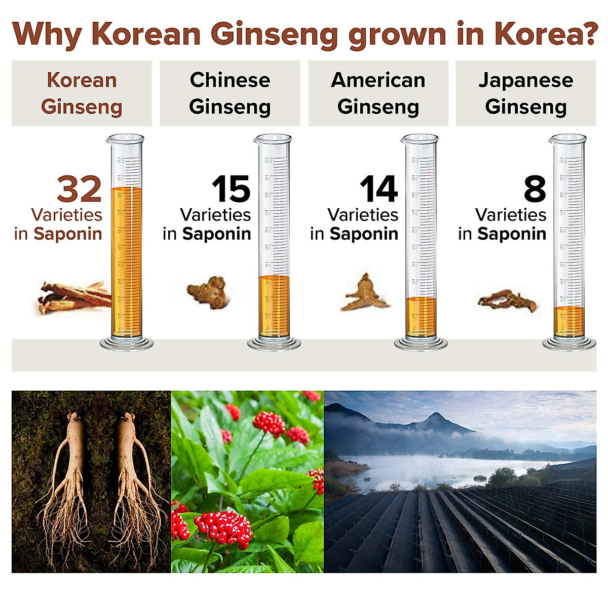 BTGIN Korean Red Ginseng Extract 3000mg Everyday, Saponin Hanppuri, Immune Booster and Focus Supplement for Brain Enhancement with Ginsenoside Rg3, Panax Ginseng 6 Years Root, 30Packets in 1 Set