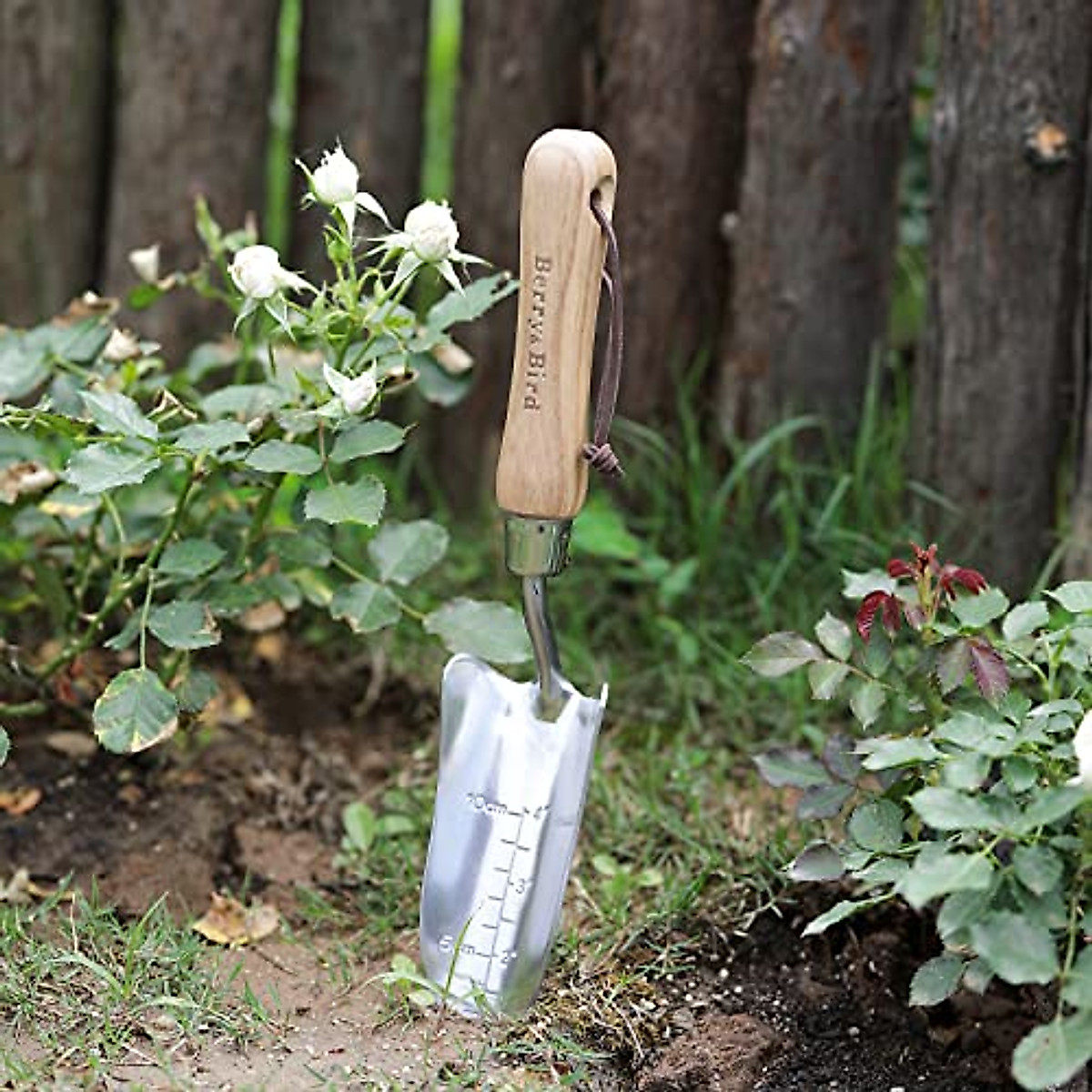 Berry&Bird Garden Tool Set, 3 PCS Stainless Steel Heavy Duty Gardening Tool Kit Includes Hand Trowel, Transplanter and Hand Cultivator with Ash Wood Handle for Transplanting Digging Loosening Soil