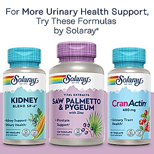 SOLARAY Nettle Extract 300 mg, Healthy Urinary & Prostate Support for Men, W/ Amino Acids & Beta-Sitosterol, 60 VegCaps