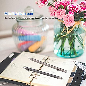 LAIONTY Mini Stylus Keychain Pens Pocket Signature Pens with Refill Ballpoint Pen for Outdoor Office Supplies(True Color)