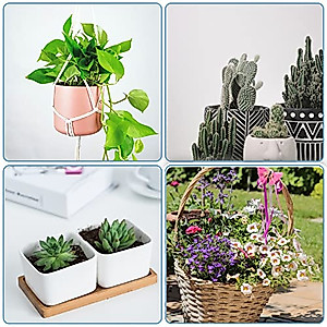 Watering Can for Indoor Plants, 400ML Small Watering Can Modern Style Stainless Steel Long Spout Watering Pot, Plant Waterer Watering Can Indoor Plants Flower, for Home Office Gardening Bonsai