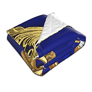 ANEWNICE Lingtoolator oyal Blue Gold Prince Crown Baby Blanket Super Soft 30 X 40 Inch, Receiving Blankets (Royal Blue Gold Prince Crown)