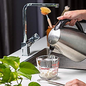 Ethique Balancing Conditioner (For oily to normal hair Conditioner)