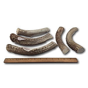Top Dog Chews Premium Large Grade A Whitetail Deer Antler for Dogs - Single Antler