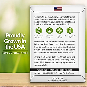Survival Garden Seeds - Lemon Balm Seed for Planting - Packet with Instructions to Plant and Grow Melissa Officinalis in Your Home Vegetable Garden - Non-GMO Heirloom Variety