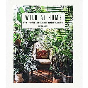 Wild at Home: How to style and care for beautiful plants