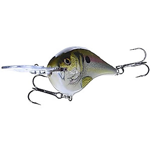 Rapala Dives-to 16 Live DT16RSL: Dives-to 16 Live River Shad, One Size