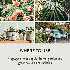 Garden Safe Take Root Rooting Hormone, Promotes Rooting, Grow New Plants From Cuttings, 2 Ounce