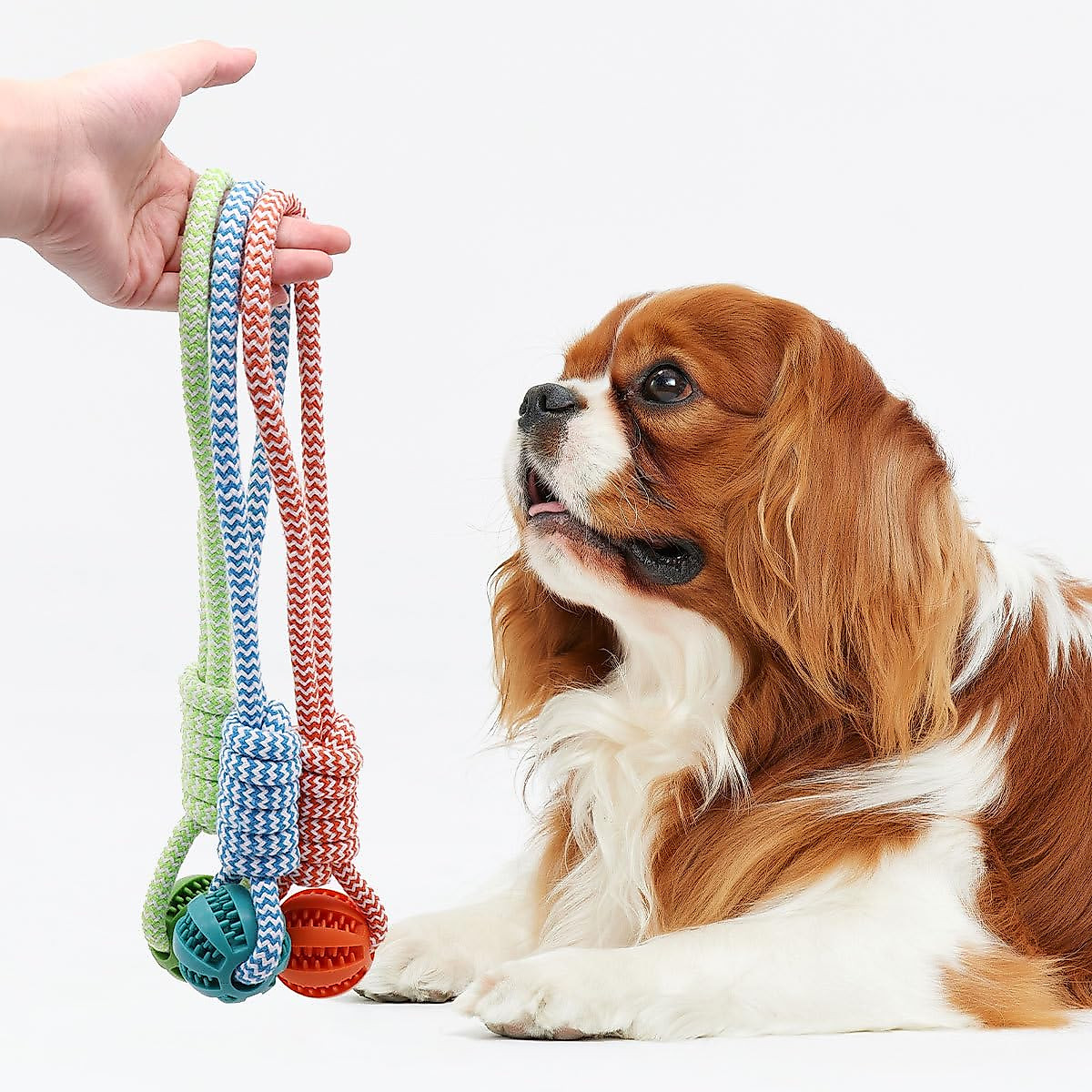 Generic Interactive Dog Rope Ball Toy (3 Colors). Interactive Dog Toy, Teeth Cleaning, Food Dispensing, Toy for Tug of War Playing, Durable Rubber Ball (Green)