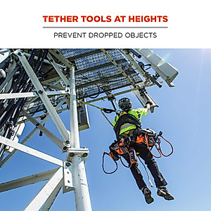 Ergodyne Squids 3100 Tool Lanyard with Single Carabiner and Adjustable Loop End, Standard Length, Lime