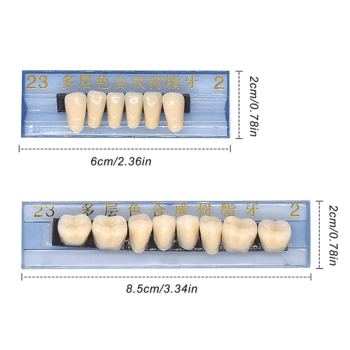 RZJZGZ 168 Pcs Dentures Resin Teeth Halloween Fake Teeth Vampire Horror Teeth Fangs for Halloween Party Cosplay Props Horror Party FavorsA2 …