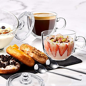 OULOVECO Glass Cereal Bowl Clear Oatmeal Bowl with Handle Spoon Clear Coffee Mug with Lids Microwave Safe Milk Breakfast Yogurt Bowl for Dessert Beverage Tea,400ml/13.5 oz,Set of (Clear)