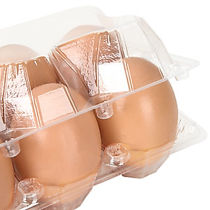 DAJAVE 100 Pack Plastic Egg Cartons, Clear Egg Cartons Cheap Bulk, Holds up for 6 Eggs Securely, Plastic Egg Holder for Family, Pasture, Farm Markets Display(Medium)