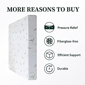 Vyfipt 10 Inch Medium Firm Green Tea Memory Foam Mattress,Cooling Gel Foam, Pressure Relieving, CertiPUR-US Certified, Bed-in-a-Box, White, Full