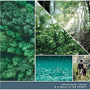 Yankee Candle Tumbler Candle (Bayside Cedar, Fresh)