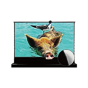Vivid Storm Since 2004-Projector Screen S PRO 120 inch Screen with Stand Floor UST Ambient Light Rejecting,Compatible for 4K Ultra Short Throw Laser Projector,VSDSTUST120H