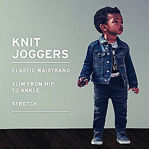 Levi's Baby Boys' Jogger Pants, Waverly, 3M