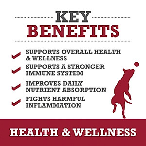 WINPRO Pet Health & Wellness Chews for Dogs, 40 Soft Chews, Plasma Powered, Grain Free Supplement for Dogs Providing Vitality and Immunity Support