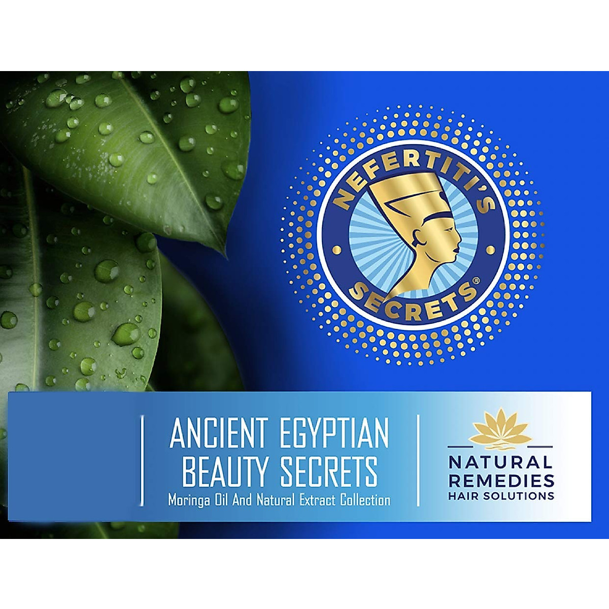 Nefertiti’s Secrets Complete Hydration Conditioner, Moisturizing Vegan Formula for Dry Hair, Organic Rosemary Hair Oil, For Frizzy & Damaged Hair, Softness, Growth & Repair Products - 8 Oz / 236 mL