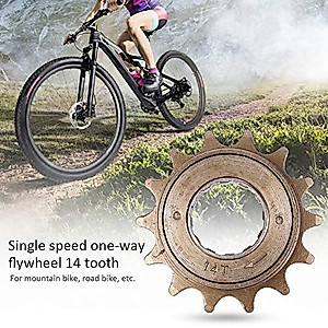 Single Speed Freewheel 14T Single Speed Freewheel Flywheel Bike Accessory for Mountain Road Folding