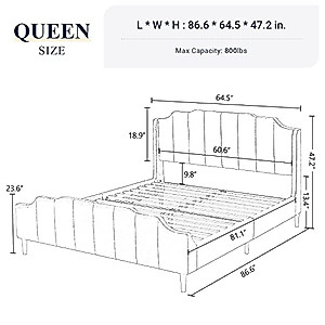Allewie Queen Size Velvet Bed Frame Upholstered Platform Bed with Vertical Headboard and Footboard, Solid Wood Leg and Strong Slats Support, No Box Spring Needed, Easy Assembly, Black
