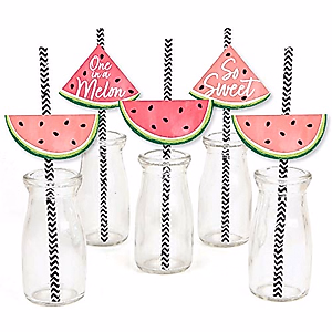 Big Dot of Happiness Sweet Watermelon - Paper Straw Decor - Fruit Party Striped Decorative Straws - Set of 24