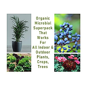 Mikrobs - Microbial Superpack for Living Soil. Revitalize Plants (8 Oz)