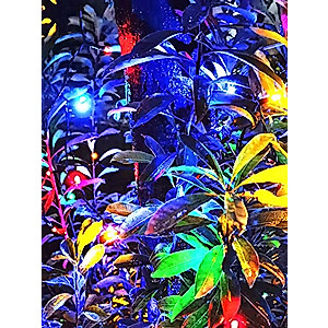 TAYNGUANG Solar Fairy Lights Outdoor, 33ft 100 LED Solar Powered Garden Lights Outside 8 Modes Waterproof Solar String Lights for Trees Patio Fence Wedding Party Christmas Decor