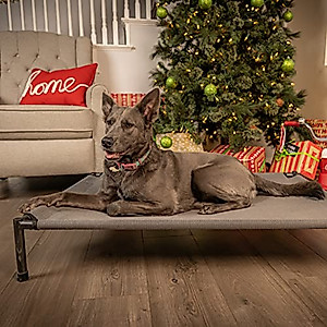 Hyper Pet Raised Rest Deluxe Elevated Dog Bed (Outdoor Dog Bed That is a Washable Dog Bed -Great Raised Dog Bed, Large Dog Bed- X-Large Dog Bed) 40x30x6.99-Holds 125 lbs-Gray