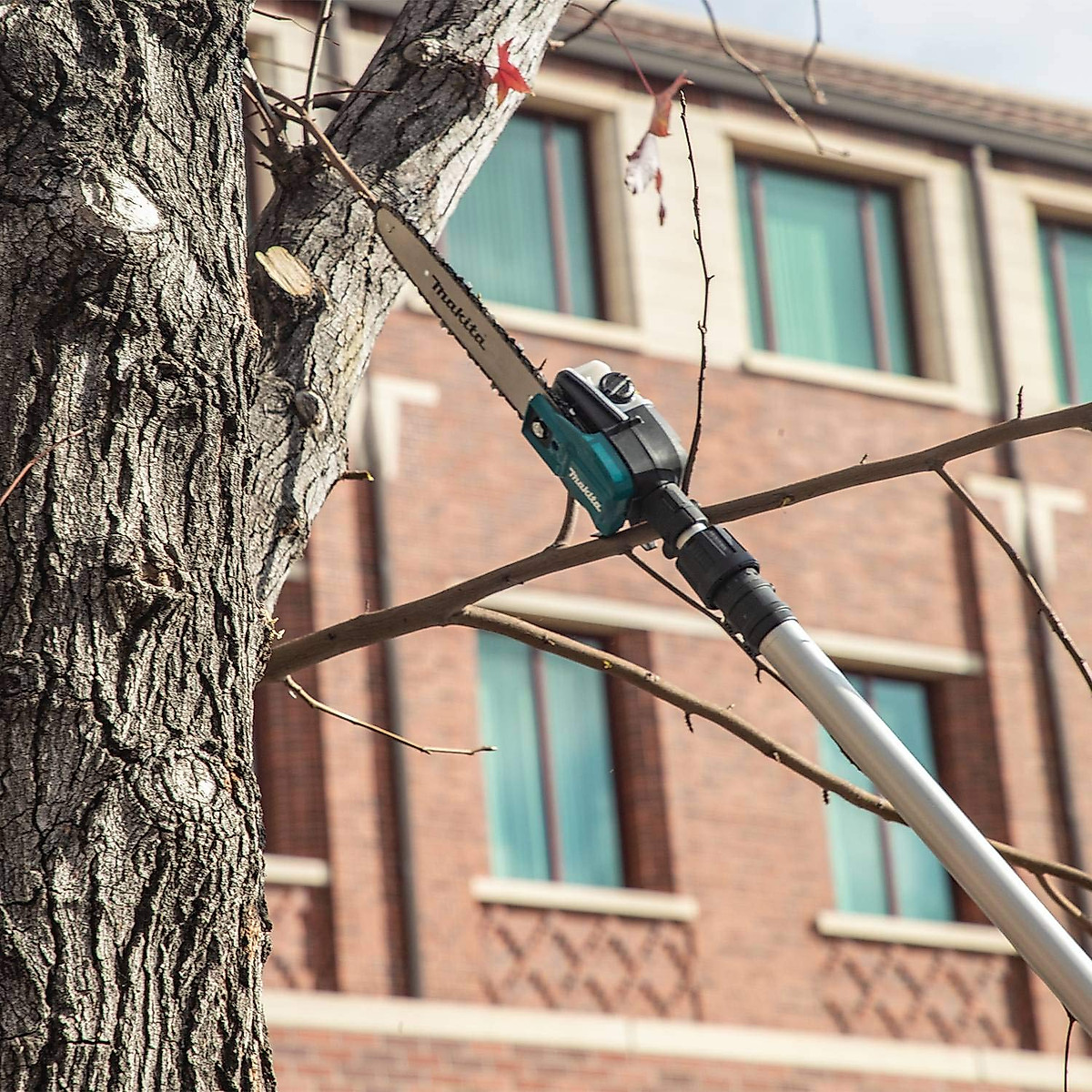 Makita XAU02PTB 36V (18V X2) LXT® Brushless 10" Telescoping Pole Saw Kit, 13' Length (5.0Ah)