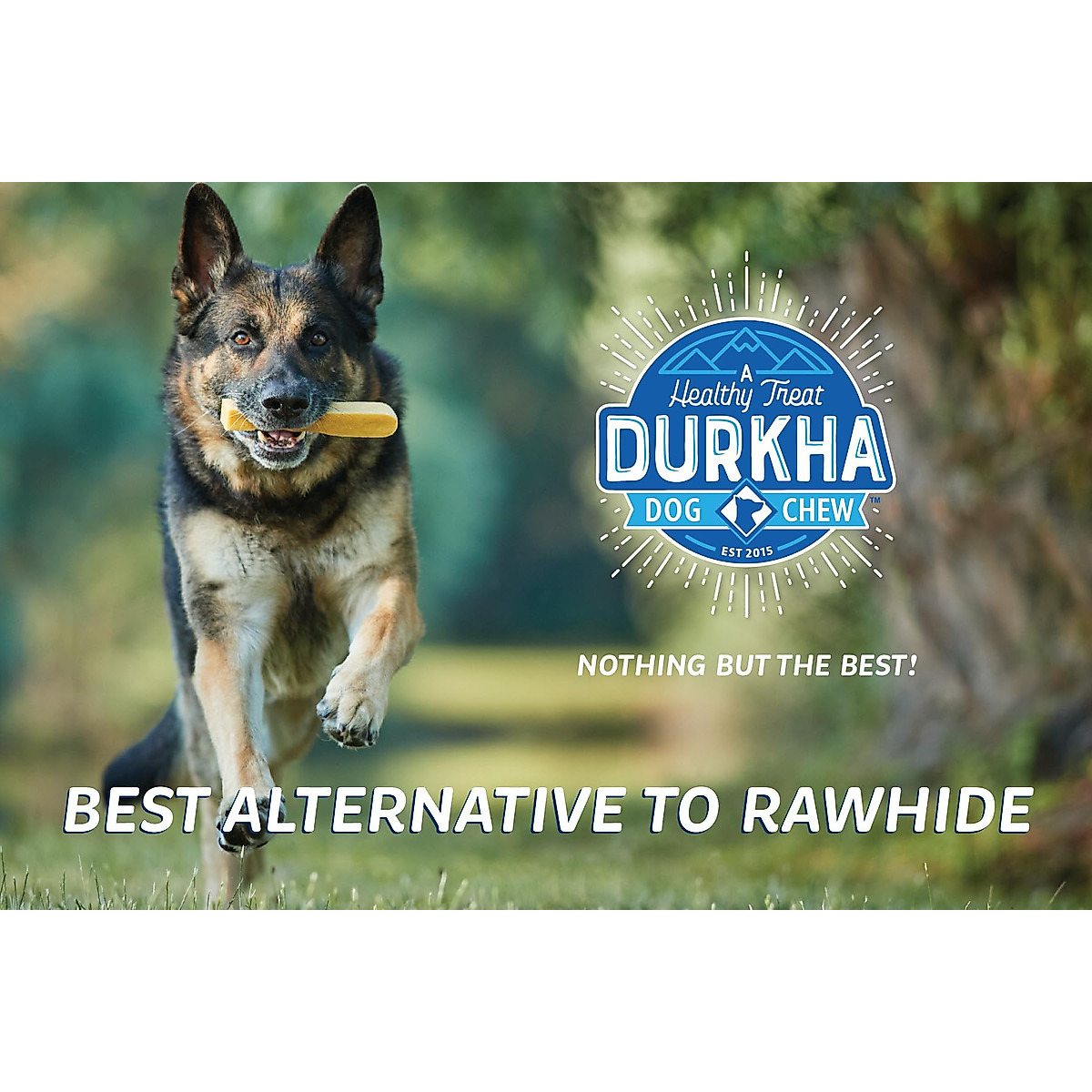 Durkha Yak Cheese Chews: Himalayan Yak Cheese Dog Chews- Natural, Healthy & Long Lasting Dog Treats - Grain, Gluten & Lactose-Free Rawhide Alternatives, for Dogs 55 lbs and Smaller, 4 Pack of Large
