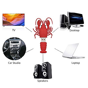32GB USB 2.0 Flash Drive USB Memory Stick - Cartoon Thumb Drive Red Lobster Pen Drive - FEBNISCTE 3D Animal Shap Zip Drive
