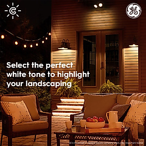 GE CYNC Smart LED Light Bulbs, Color Changing Lights, Bluetooth and Wi Fi Lights, Works with Alexa and Google Home, PAR38 Outdoor Floodlights (2 Pack)