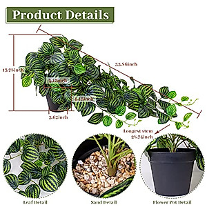 LOYWREE 28.7 Inch Faux Peperomia Watermelon Artificial Plants - Realistic Faux Plants in Pot for Indoor Outdoor Home Office Decor - Perfect Housewarming Gift