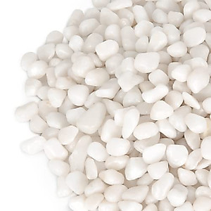 GASPRO 10 lbs White Pebbles for Plants, Vases, and Landscaping in Garden - Highly Polished 3/8" Small Rocks for Indoor and Outdoor Decor